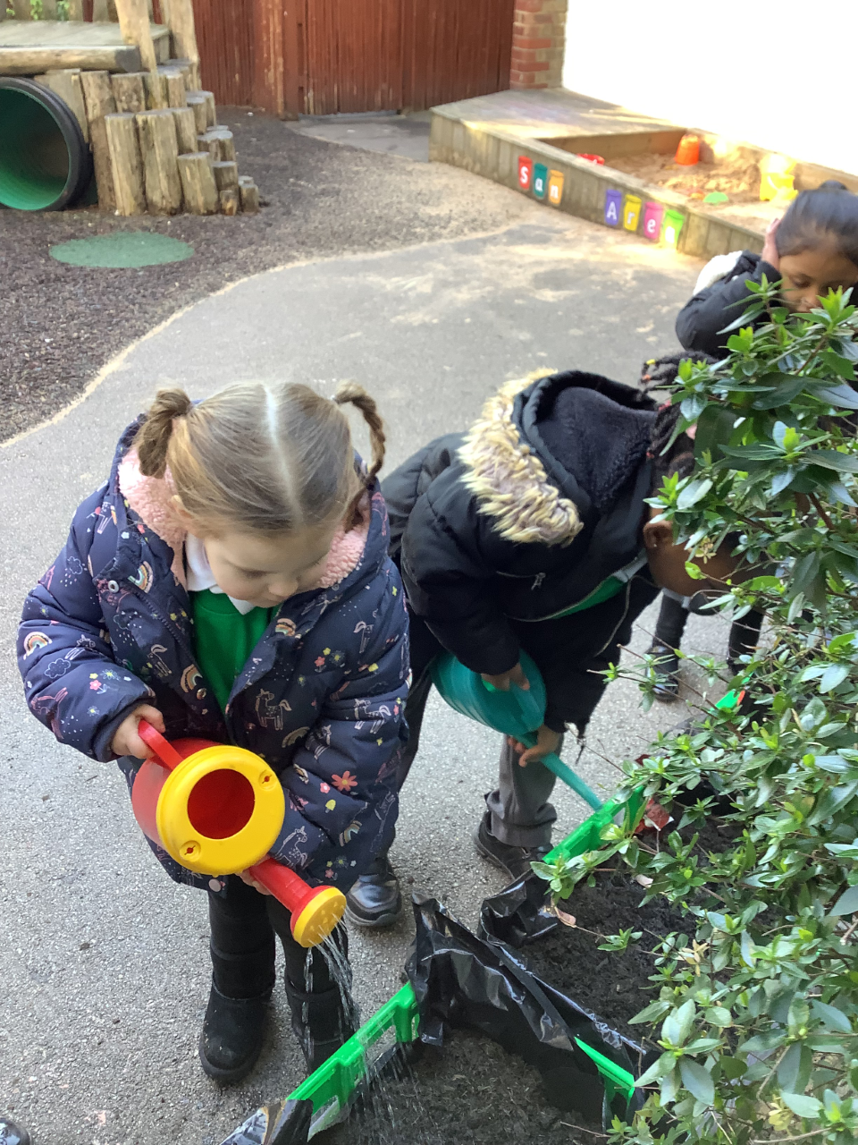 EYFS Plant Potatoes - Hoxton Garden Primary School