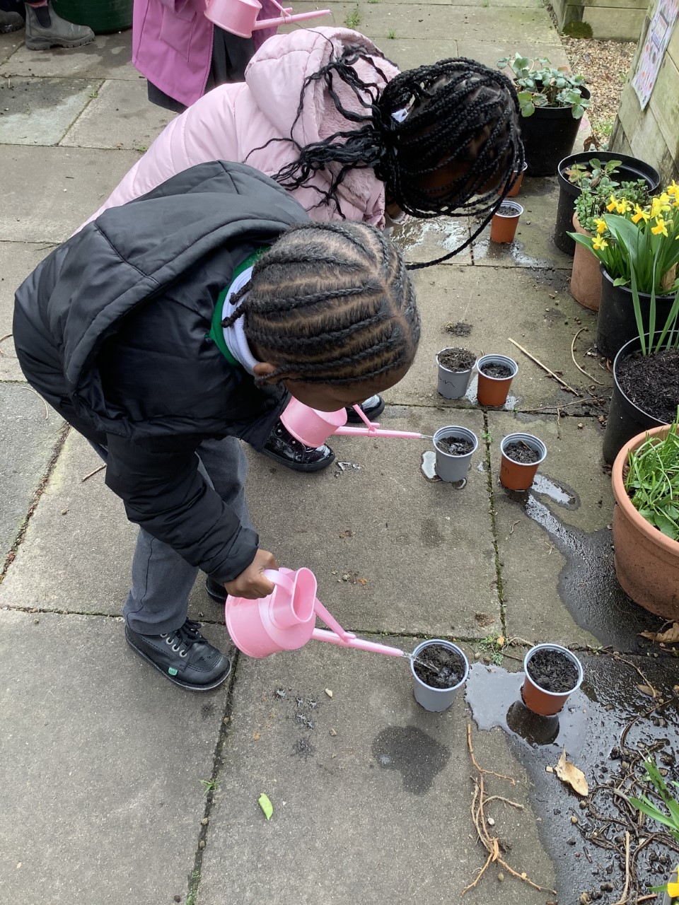 Gardening With EYFS - Hoxton Garden Primary School