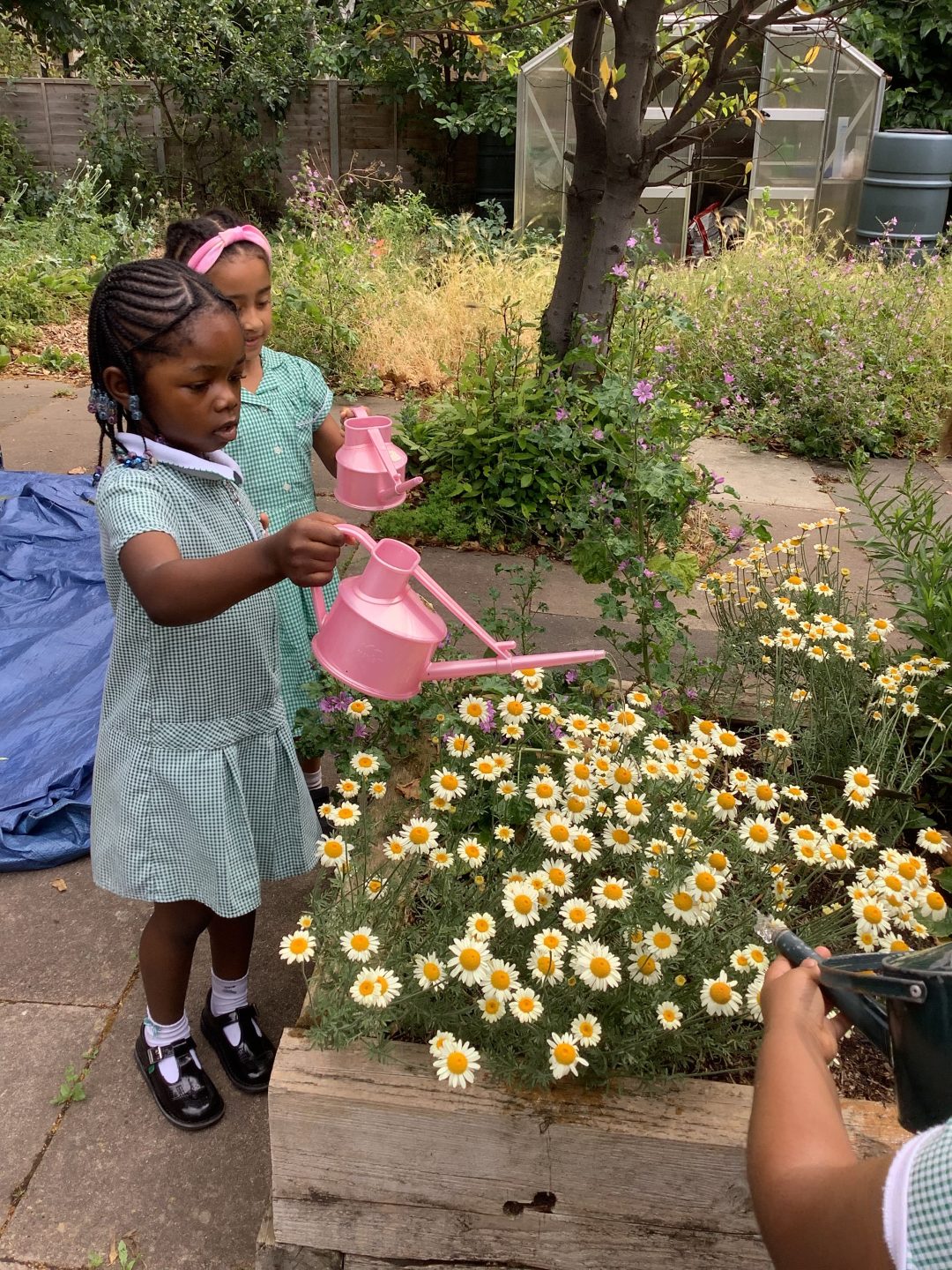 Hoxton Garden Primary School | Year 1 Gardening