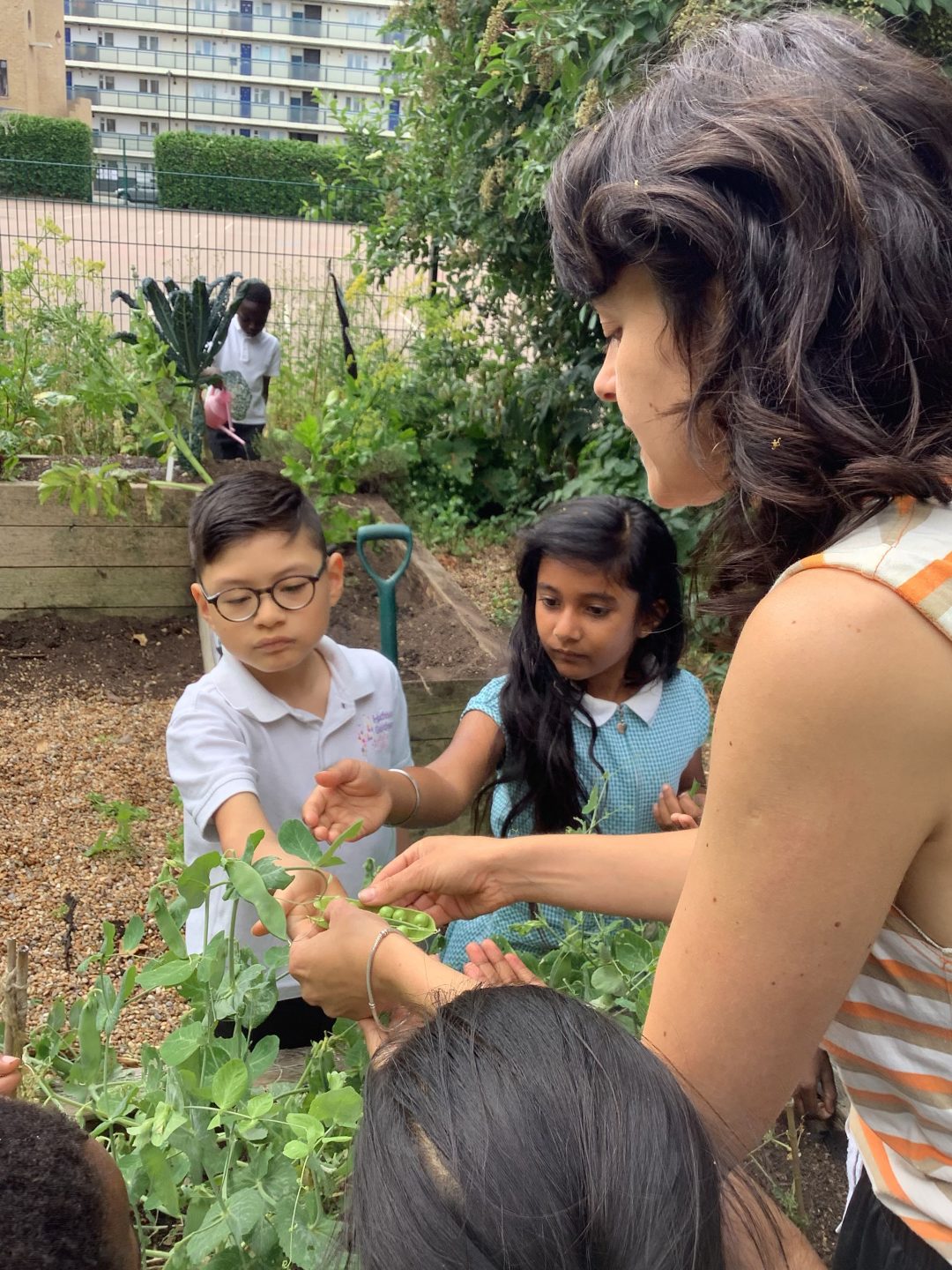 Hoxton Garden Primary School | Year 1 Gardening